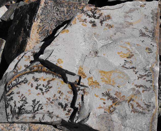 Tombstone Mining District, Cochise County, Arizona, USA