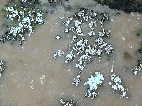 Photo Gallery: Silver Islet mine, Silver Islet, Sibley Township ...