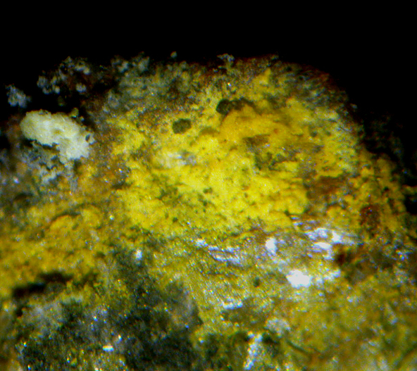 Ronneburg U deposit, Thuringia, Germany