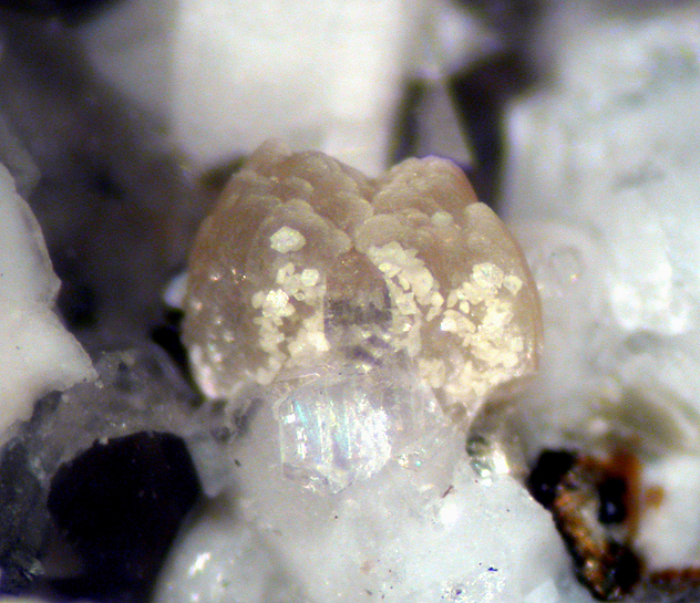 Baveno, Verbano-Cusio-Ossola Province, Piedmont, Italy