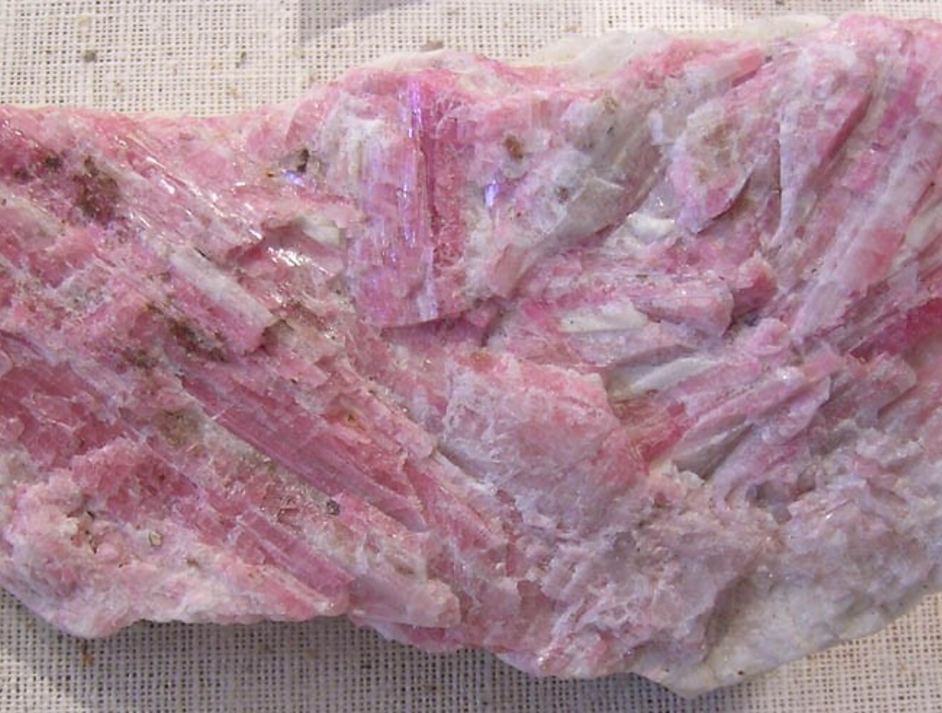 Clinothulite: Mineral information, data and localities.
