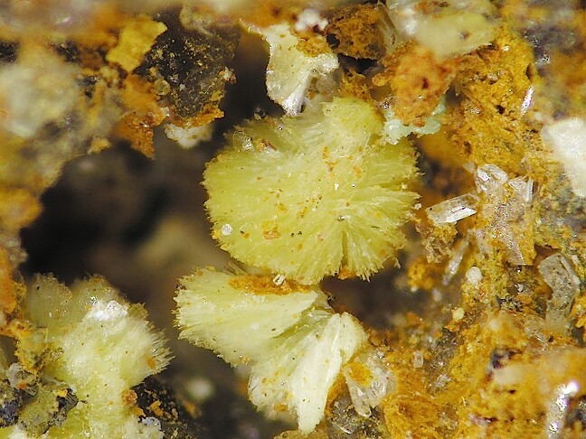 Meta-autunite Group: Mineral information, data and localities.