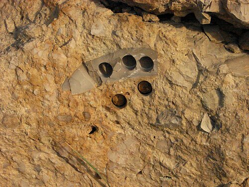 01538240017362282562981.jpg?cachekick=1