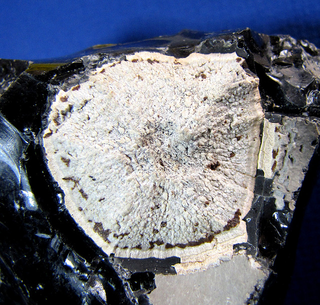 Fayalite, Cristobalite, Obsidian