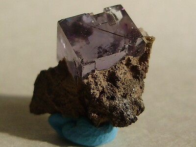 03113260017362960971647.jpg?cachekick=1