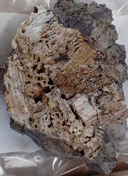 Buchite: Mineral information, data and localities.