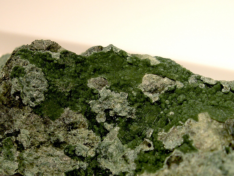 1.6 mm green Lizardite crystal. Collection Domenico Preite photo Matteo ...