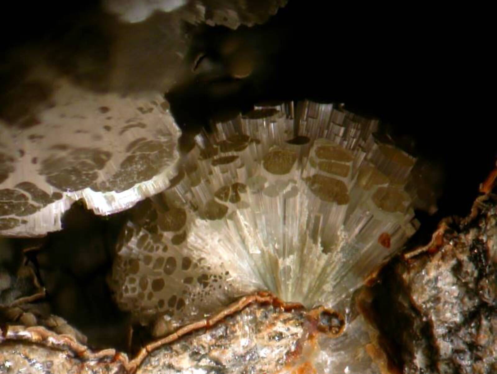 Colorless hexagonal needles of Erionite-K in a small vug. Collection ...