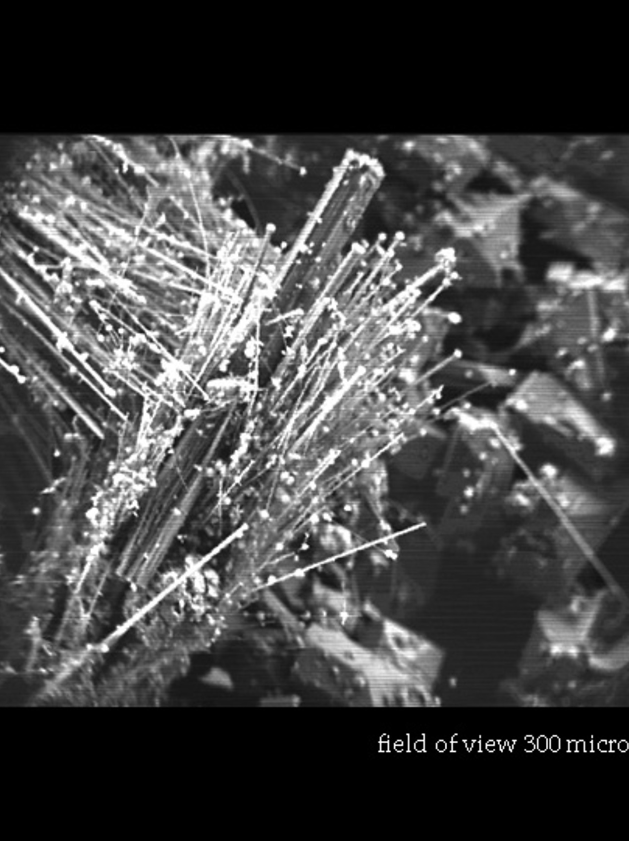 Colorless hexagonal needles of Erionite-K in a small vug. Collection ...
