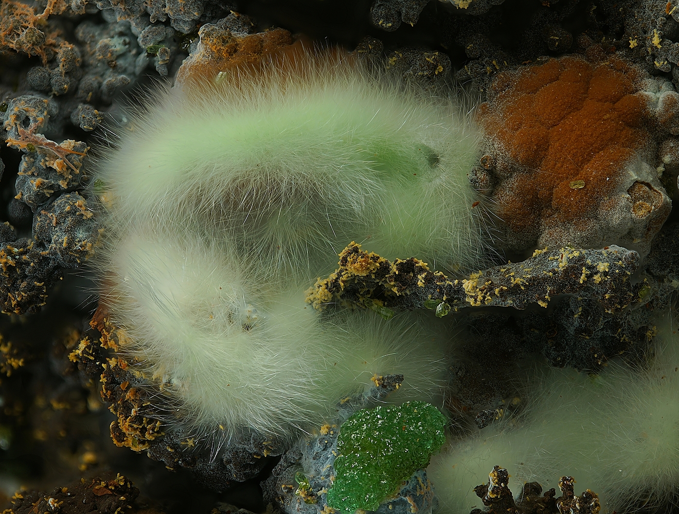 Agardite-(Nd): Mineral information, data and localities.