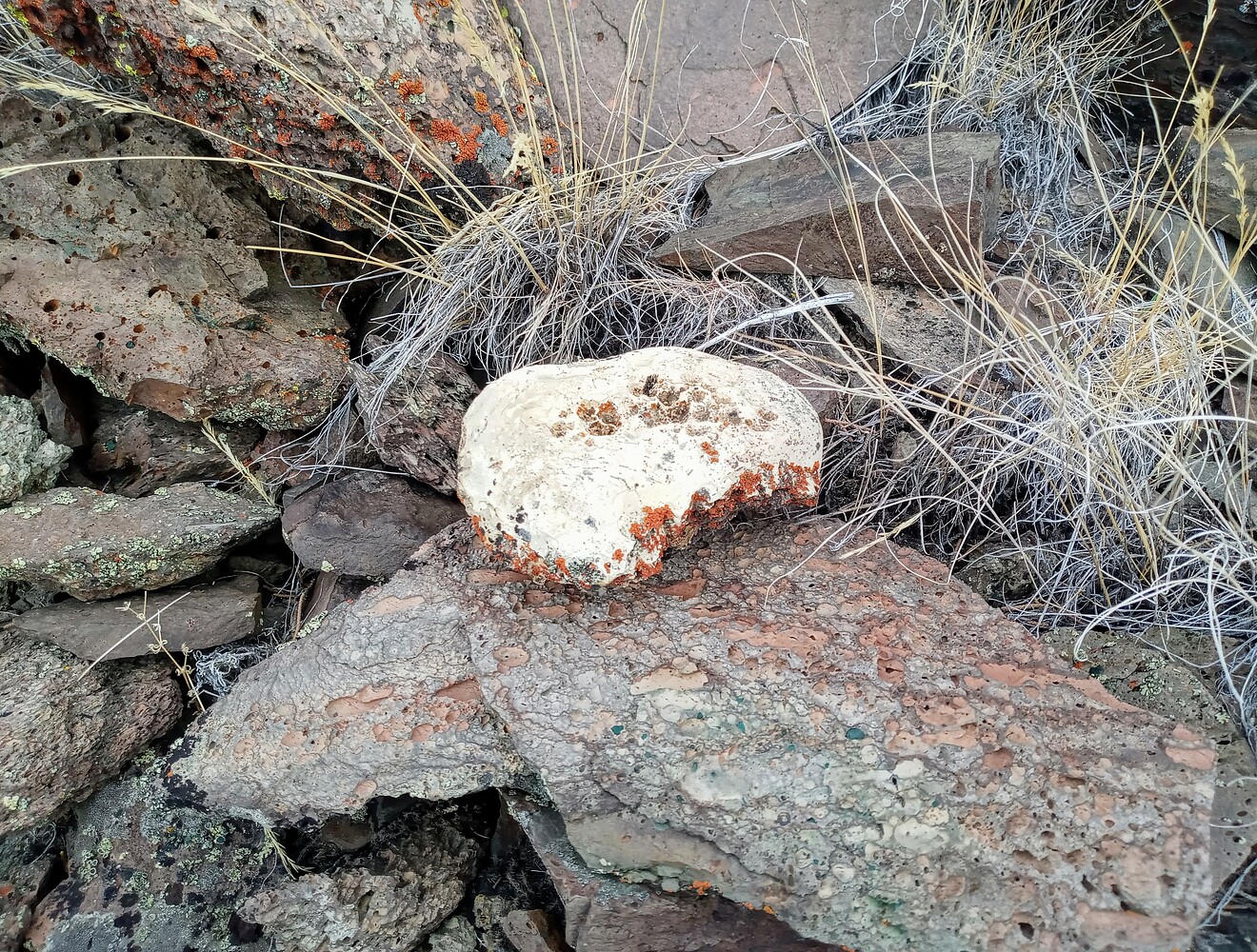 General : Rough to Cut: The WOW Factor