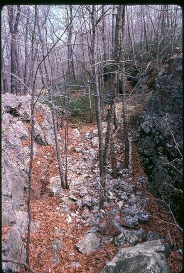 Biermann Quarries (Bethel quarries; Codfish Hill Quarry), Bethel ...