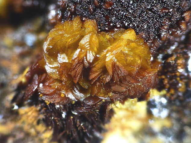 Plaka Mine No. 80, Plaka Mines, Plaka, Lavreotiki, East Attica, Attica ...