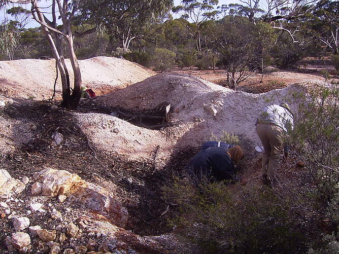 Ubini Pegmatite, Coolgardie, Coolgardie Shire, Western Australia, Australia