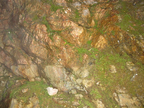 00567910017367813224284.jpg?cachekick=1