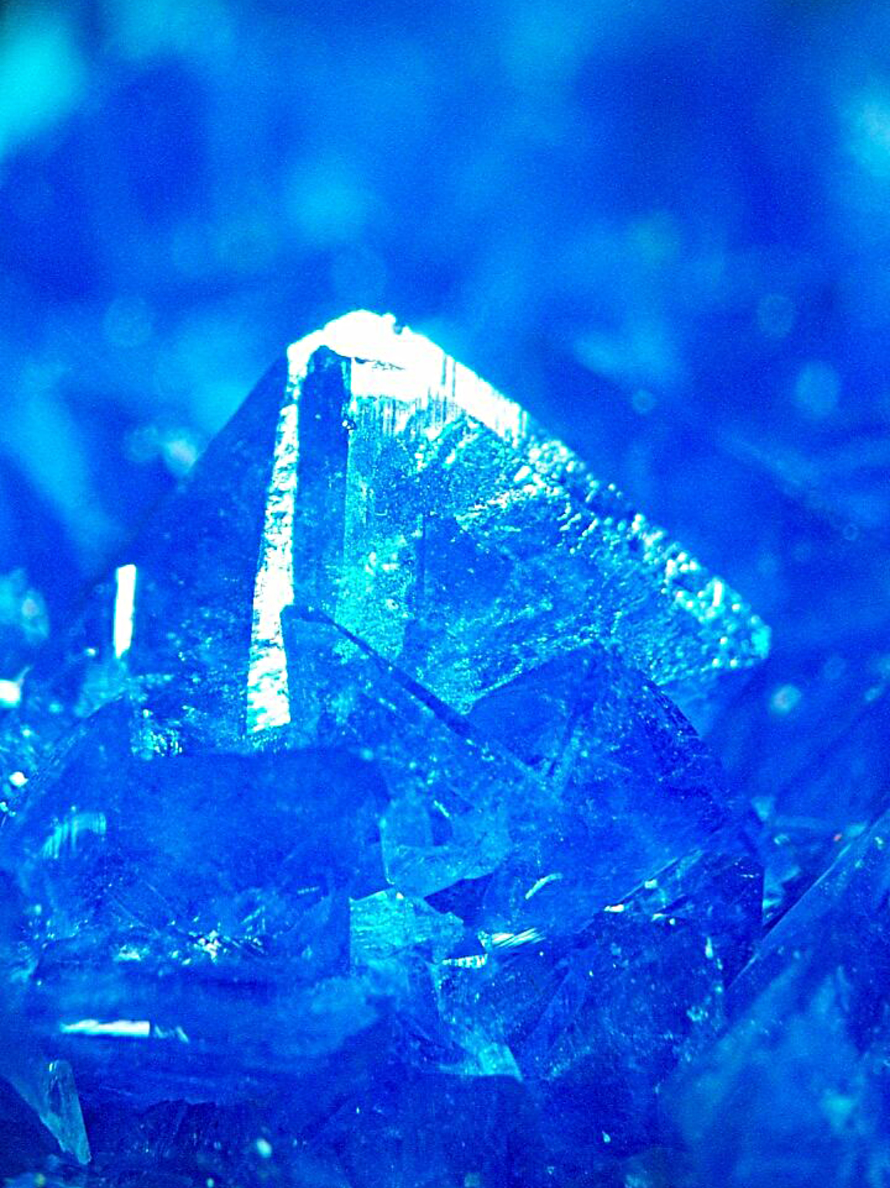 1,5 mm crystal, minor matrix – Photo and collection François Périnet