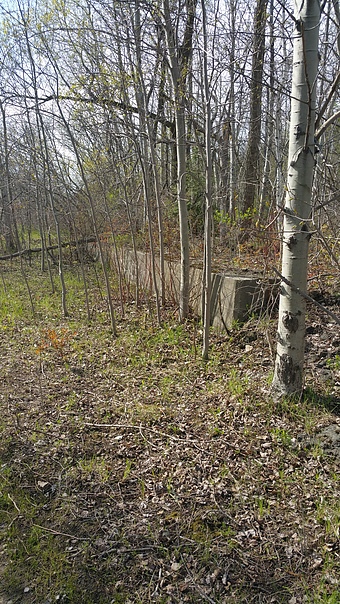 Old Guelph Reformatory Quarry, Guelph township, Wellington County ...