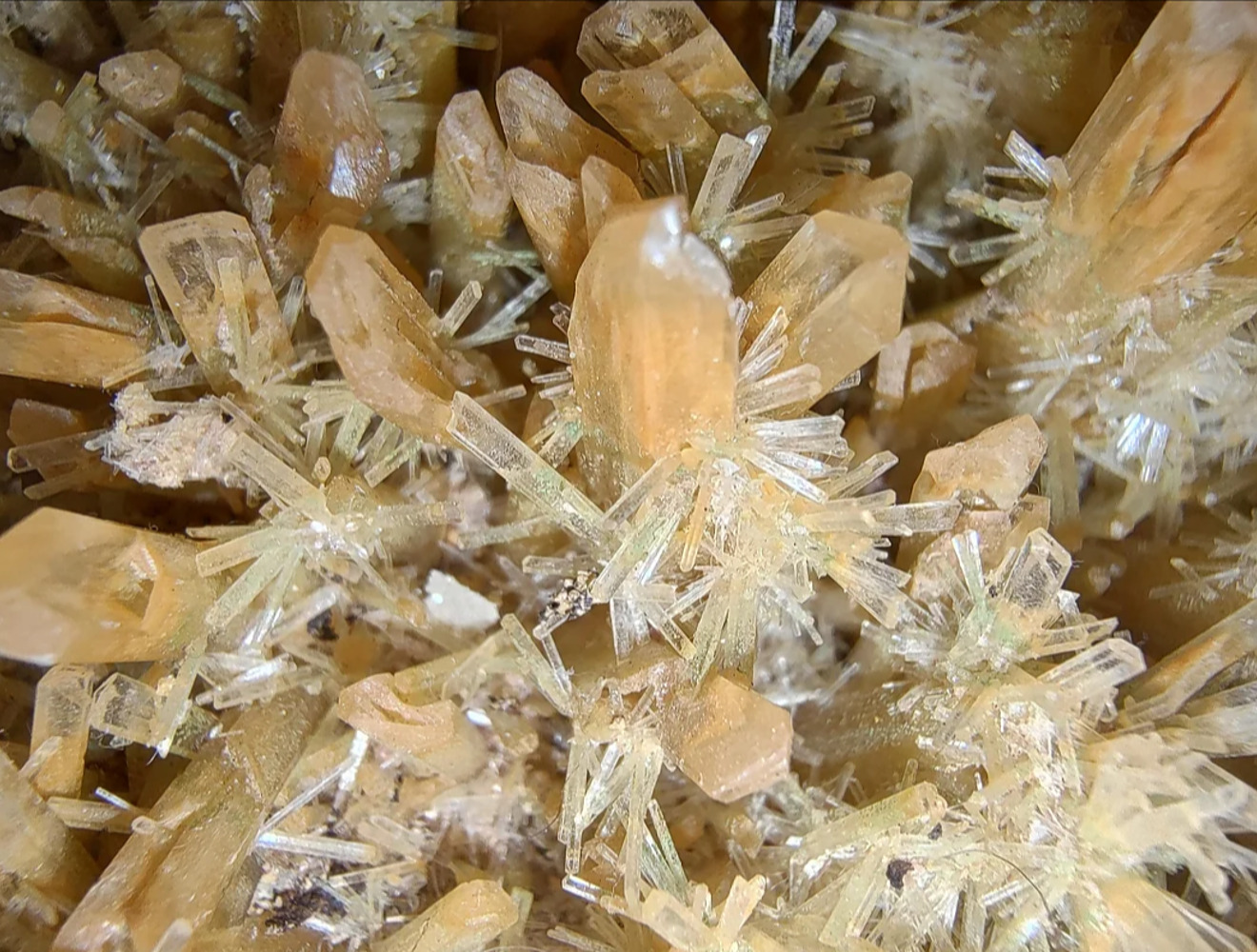 Improving Mindat.org : Specimen set to user gallery only