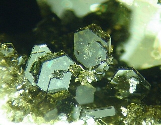 Phlogopite