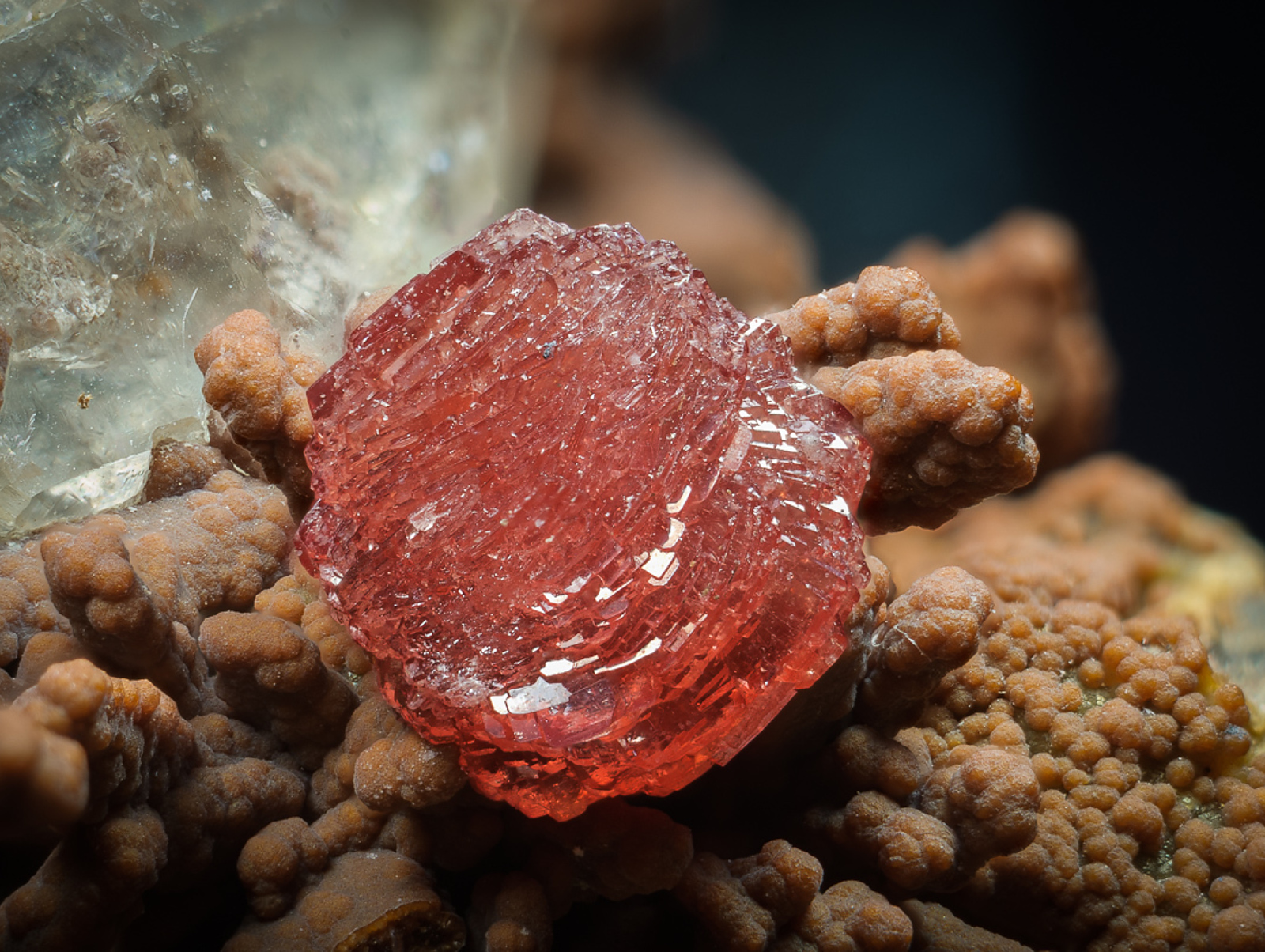 Sarkinite, Caryopilite, Baryte