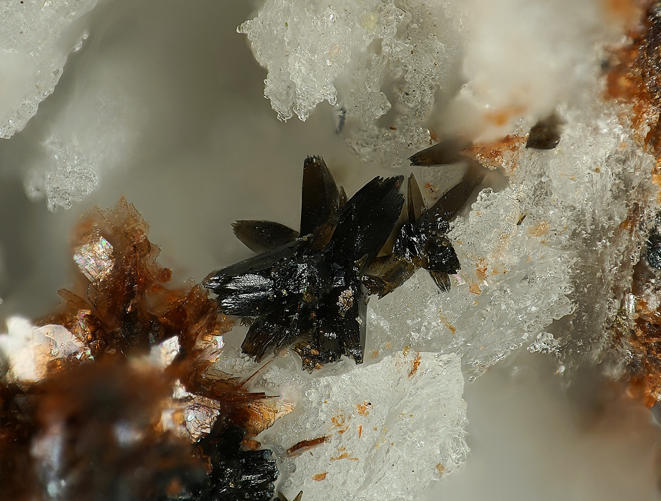 Kieserite Group: Mineral information, data and localities.