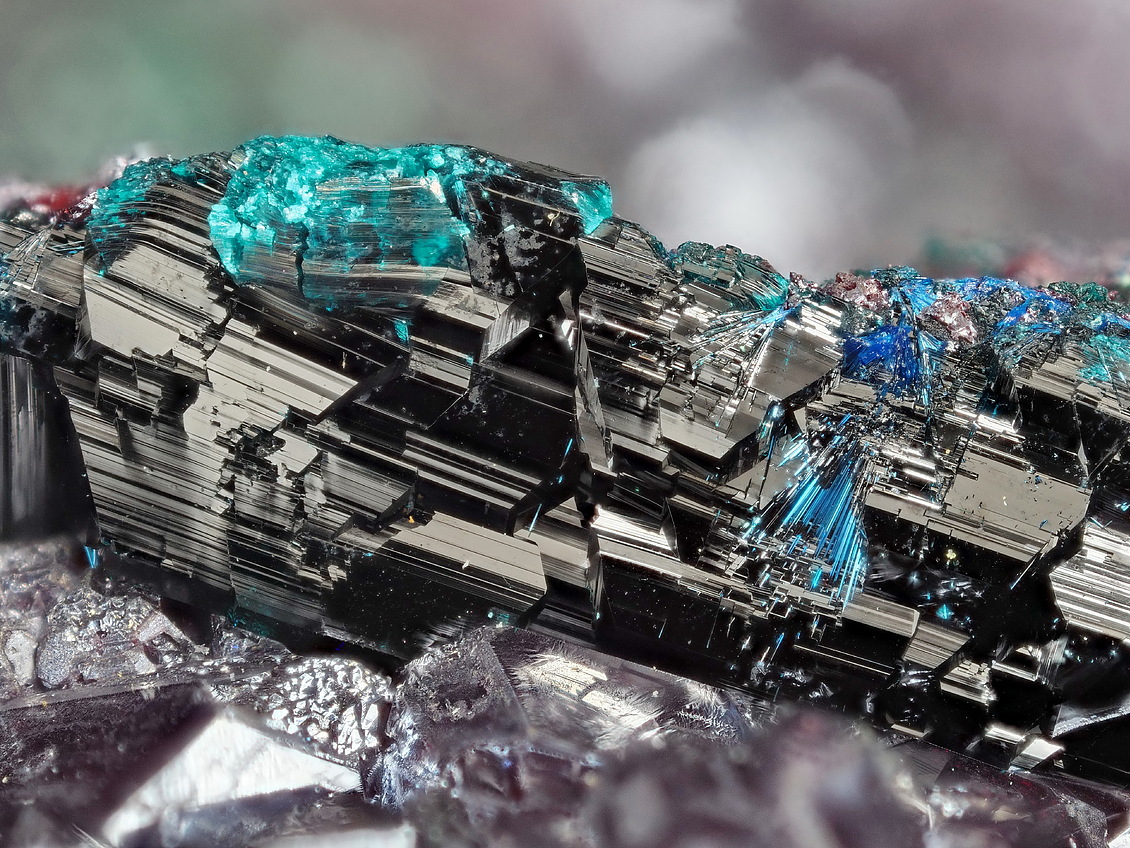 © Chinellato Matteo