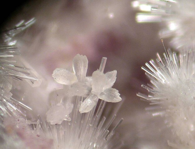 Francon quarry, Montréal, Québec, Canada