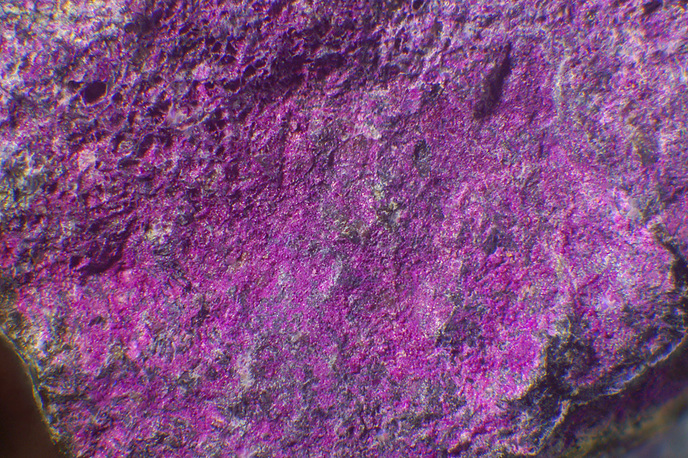 Dunite Quarry, Greenhills, Invercargill City, Southland Region, New Zealand