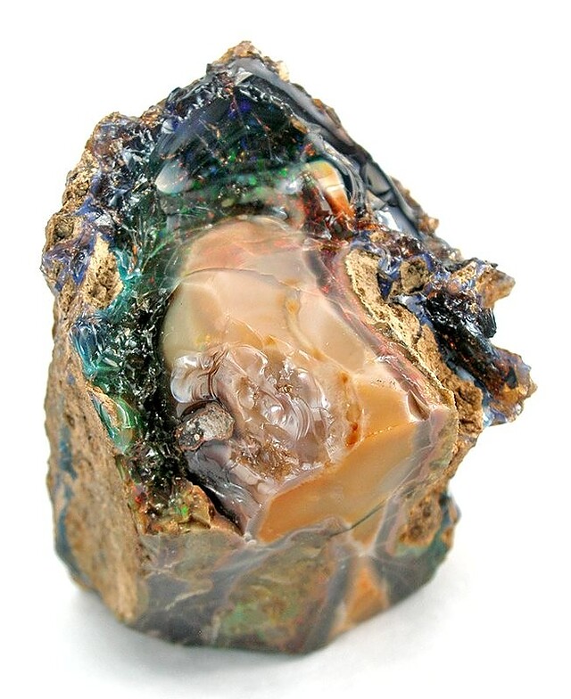 Petrified Wood
