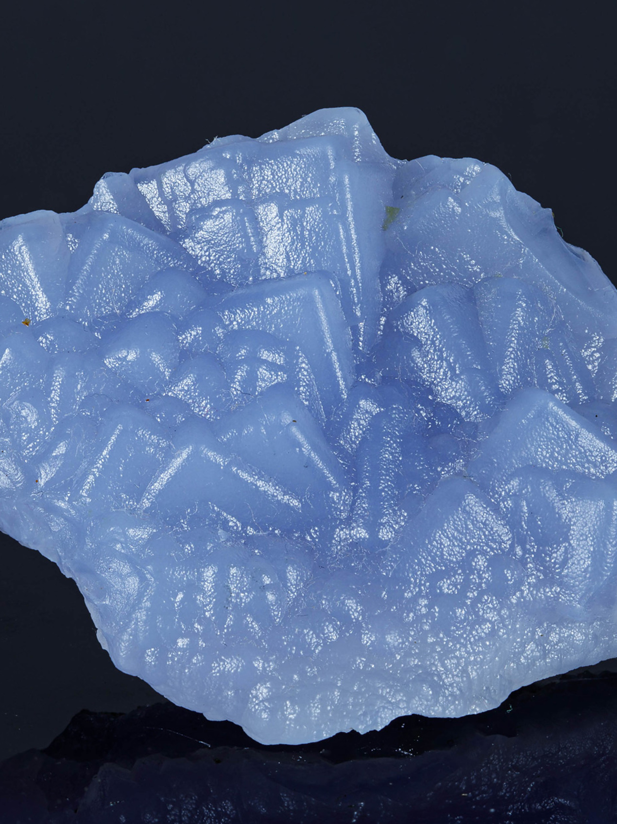 © 2004 Peter Cristofono