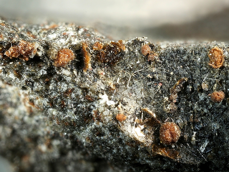 Maghemite, Magnesio-hastingsite