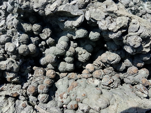 Variolite: Mineral information, data and localities.