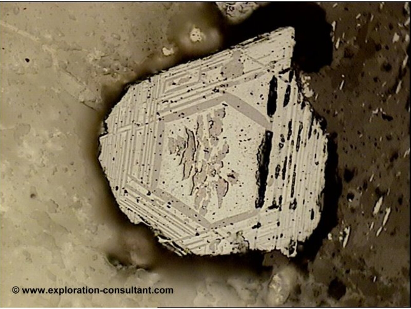 © 2007 Michael C. Roarke