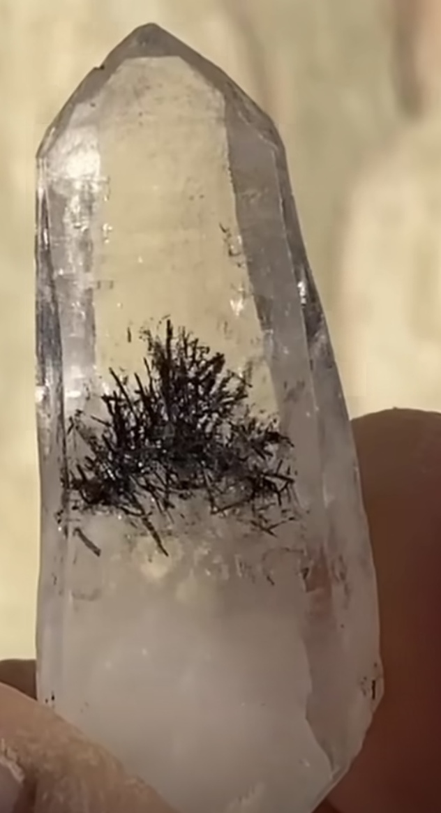 03712730017272733726334.jpg?cachekick=1