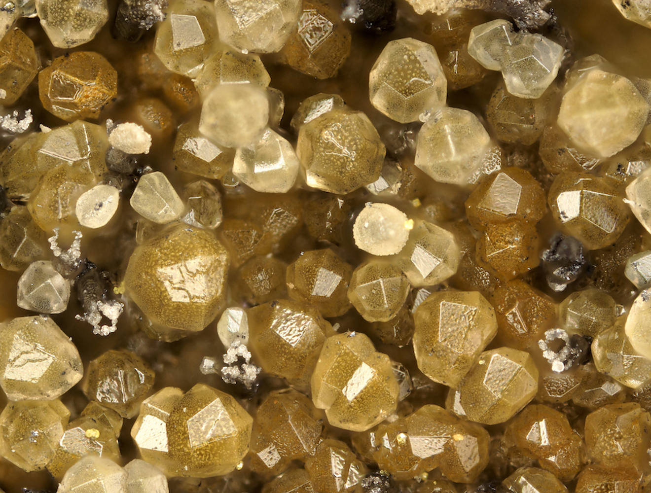 Salammoniac: Mineral information, data and localities.