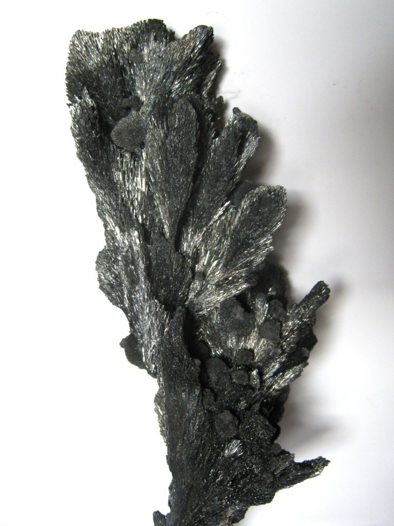 Lustrous, metallic berthierite crystals with bladed clusters to over 10 cm.