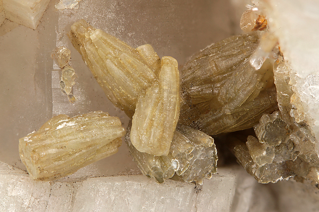 Muscovite, Albite (Var: Cleavelandite), Quartz