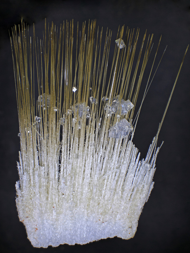 Neer Road, Goble, Columbia County, Oregon, USA