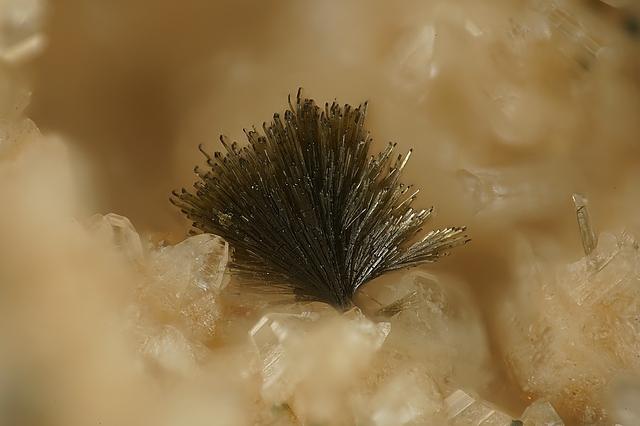Allanite-(Ce)