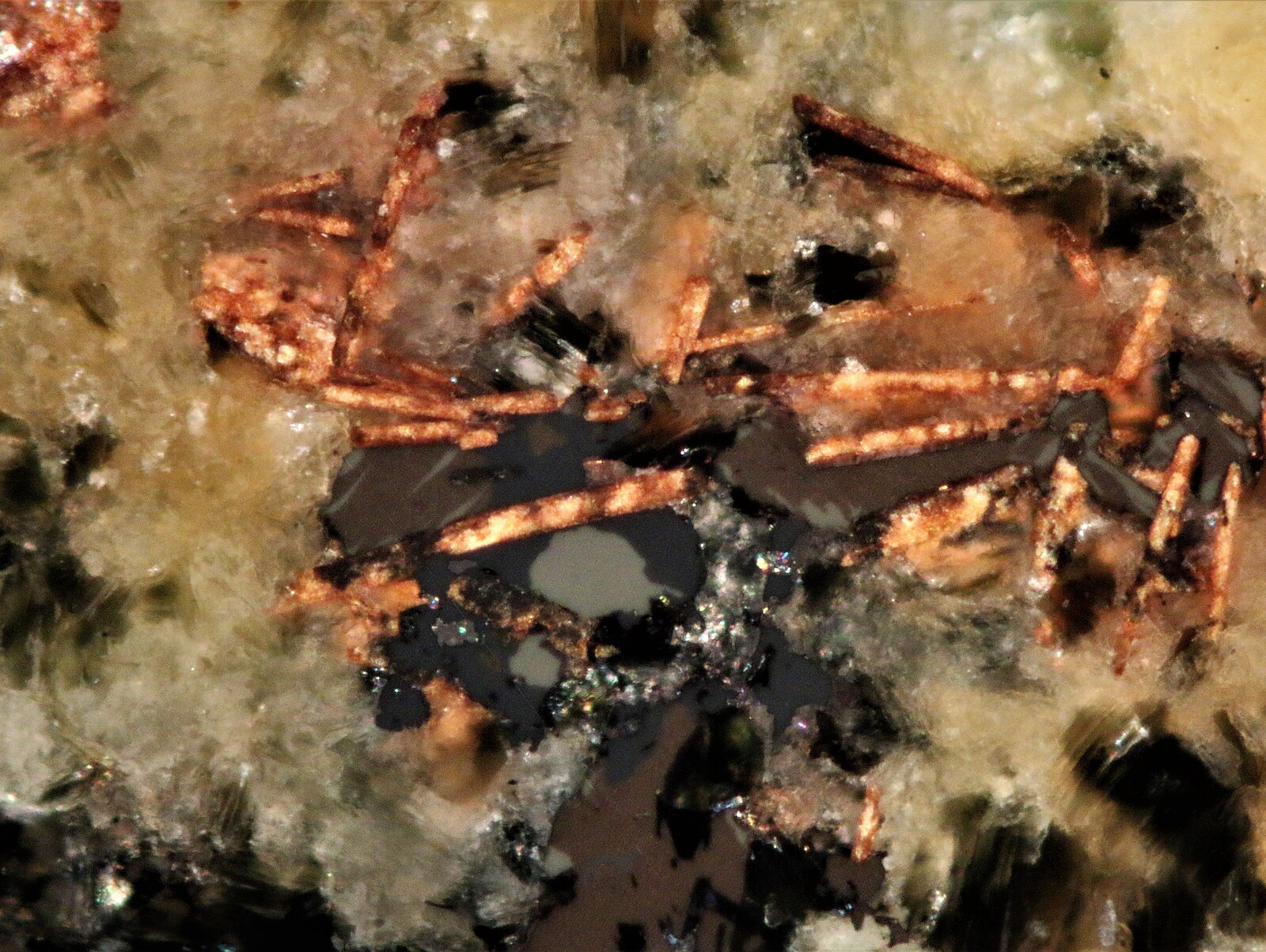 Leucoxene, Bornite, Chalcopyrite, Digenite