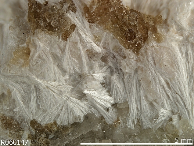 Tobermorite: Mineral information, data and localities.