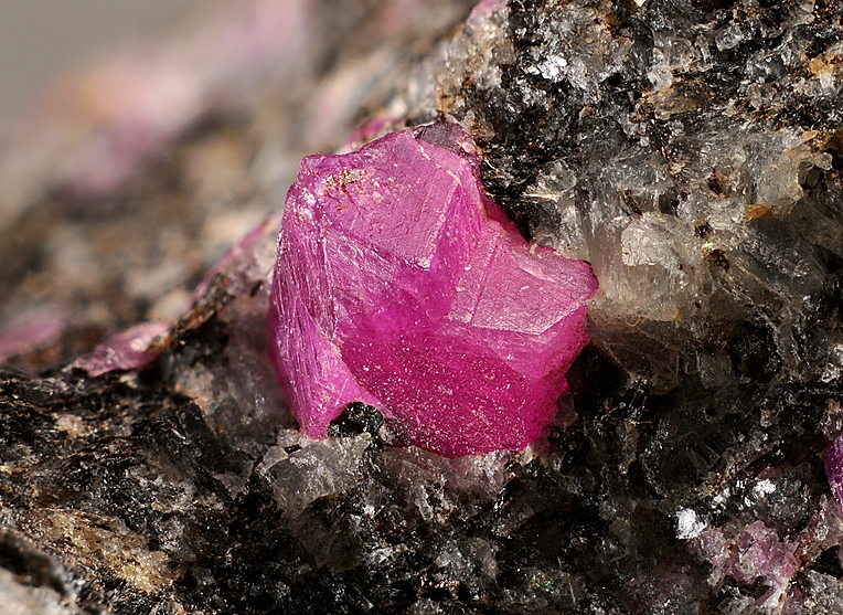 Mysore District, Karnataka, India