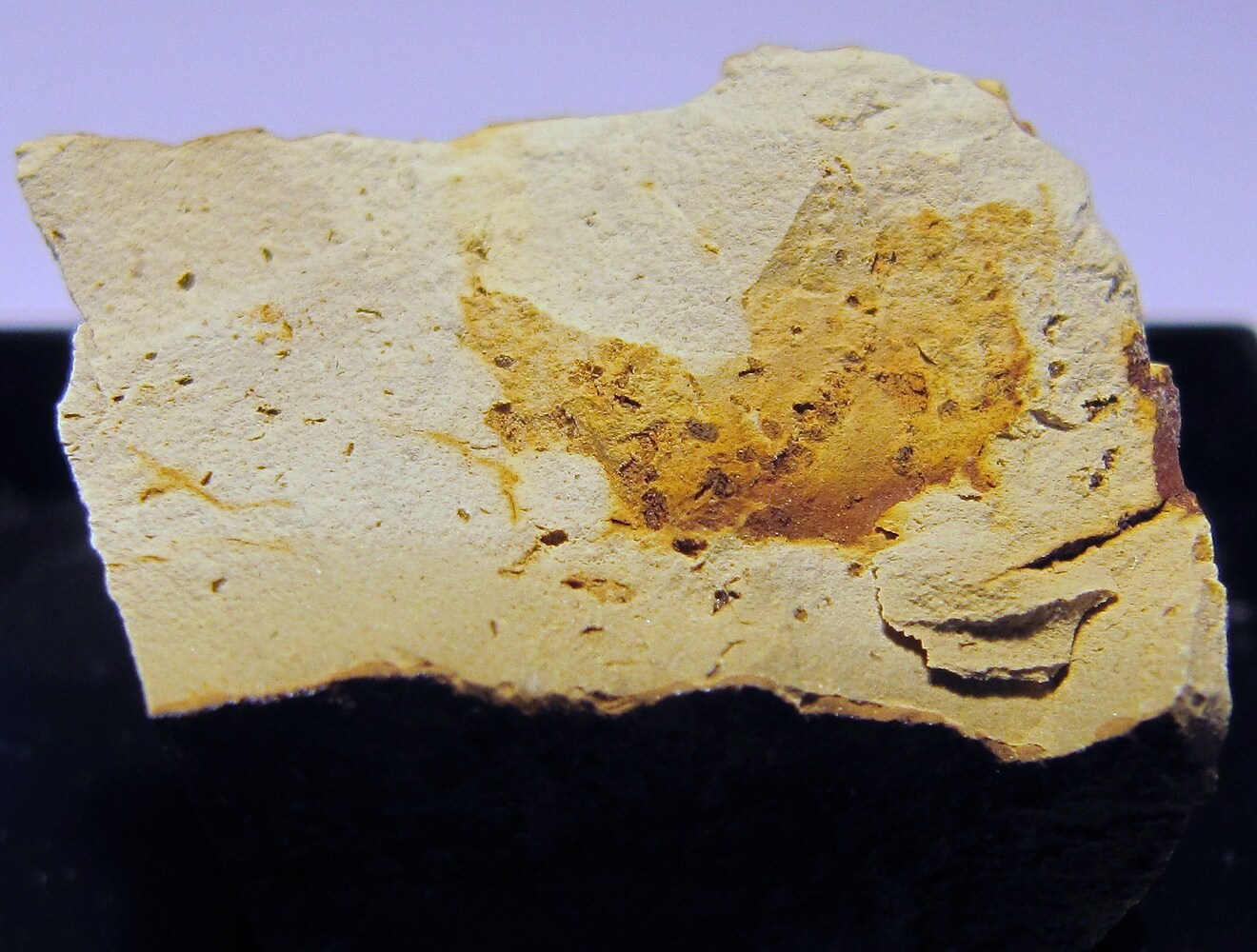 Buddingtonite: Mineral information, data and localities.