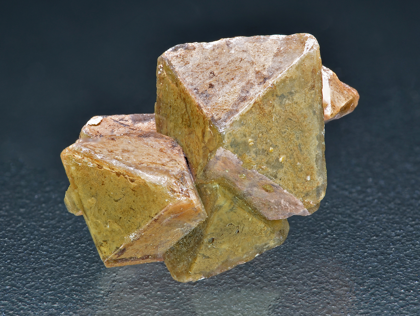 Nice group of Mellite crystals. Picture width is 13,5mm.[Visual ...