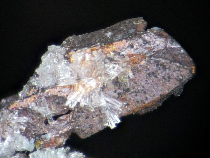 Cerbat Mountains, Mohave County, Arizona, USA