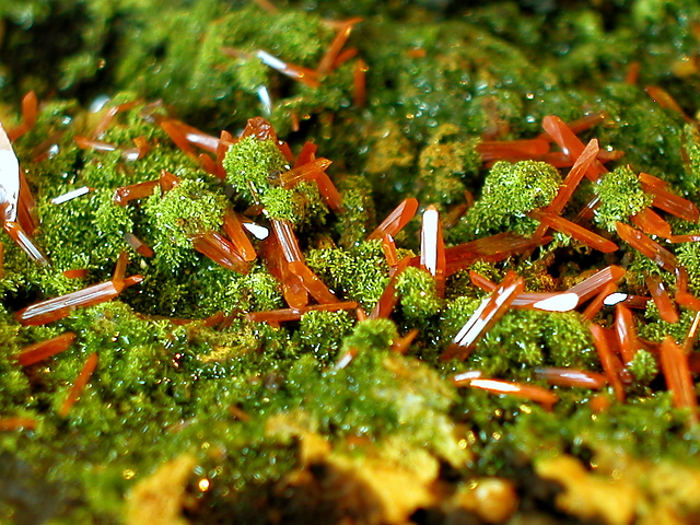 Crocoite, Pyromorphite