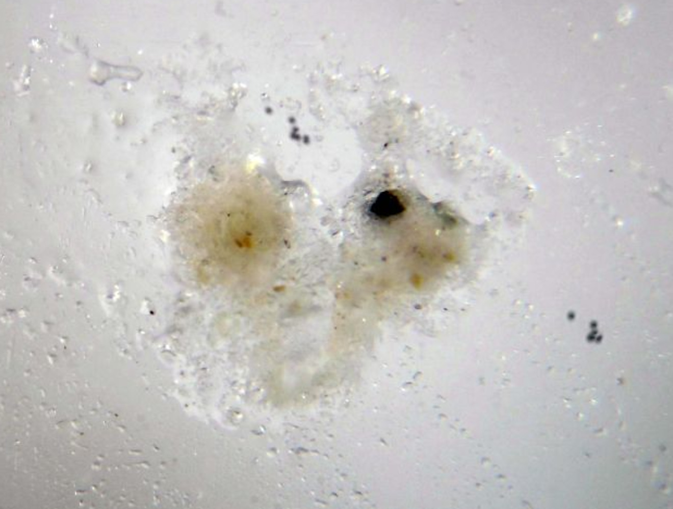 Carobbiite: Mineral information, data and localities.