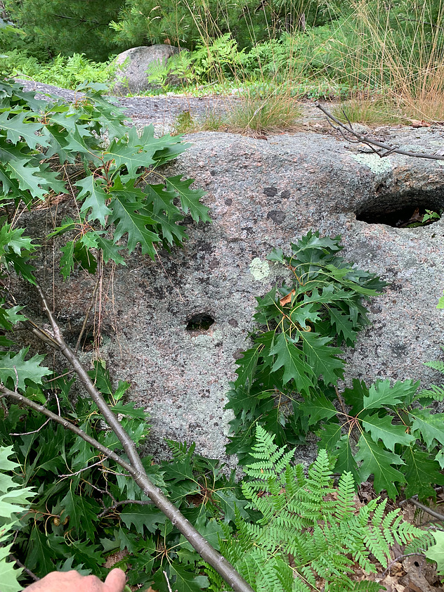 Ossipee, Carroll County, New Hampshire, USA