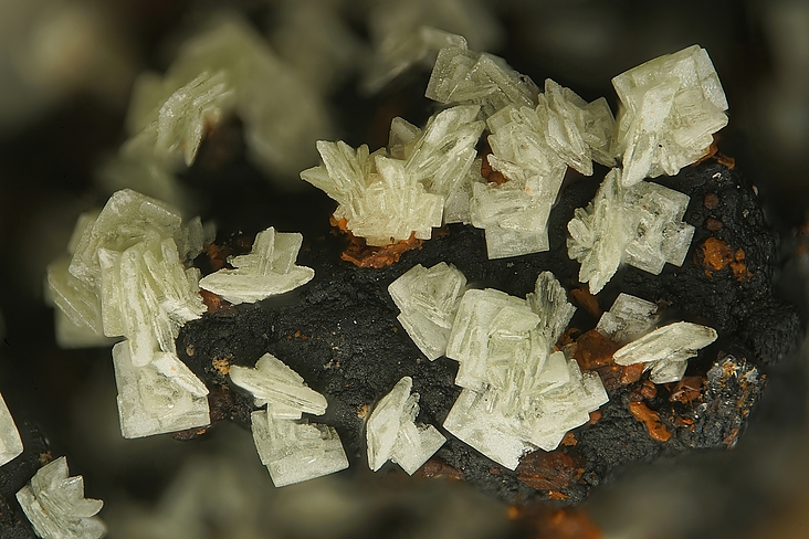 The mineralogy of Molybdenum