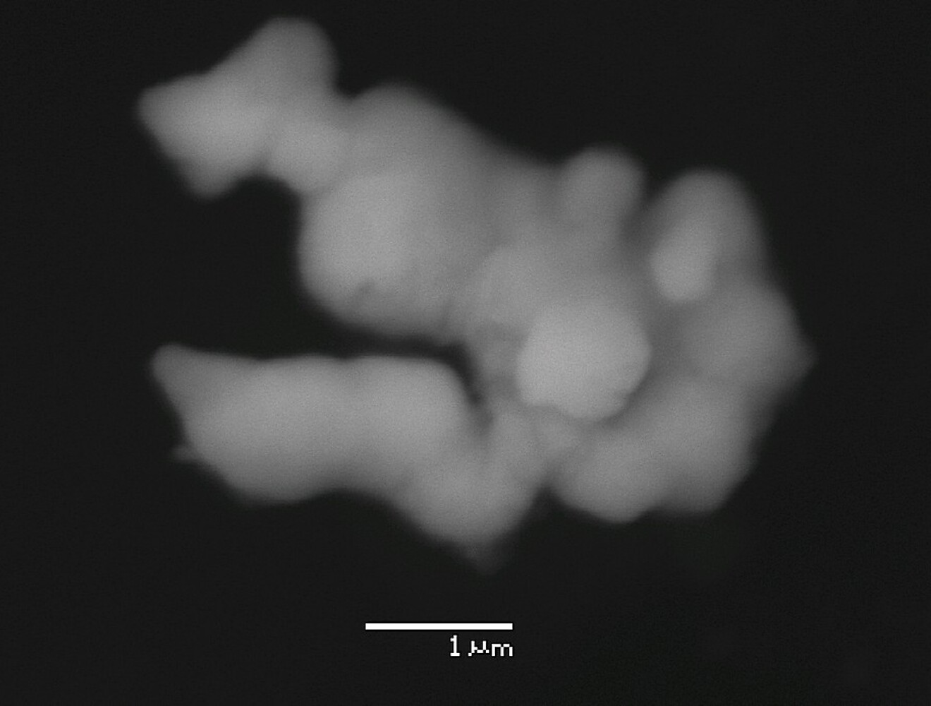 Native Cobalt: Mineral information, data and localities.